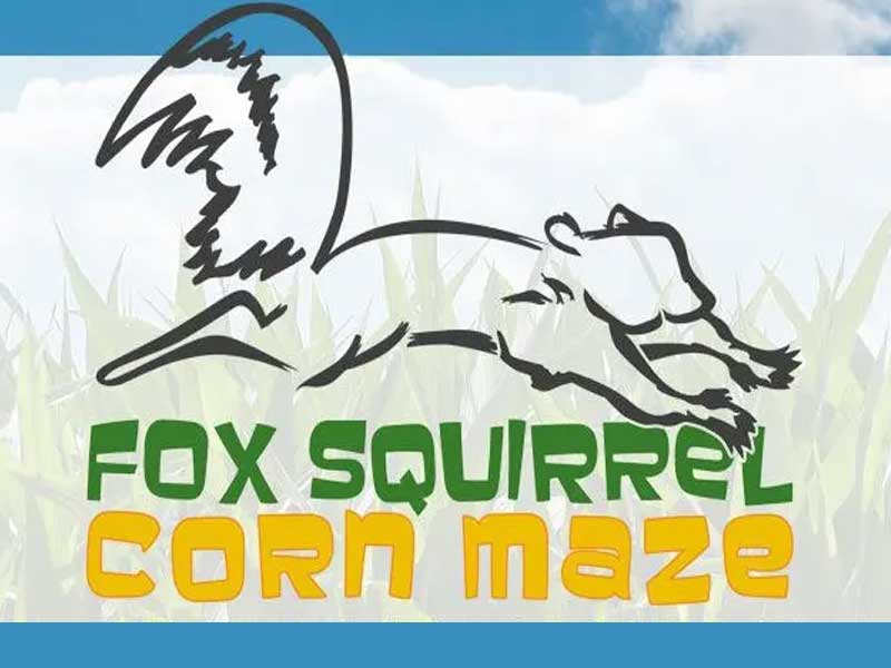 Fox Squirrel Corn Maze – Florida Smart Business Directory